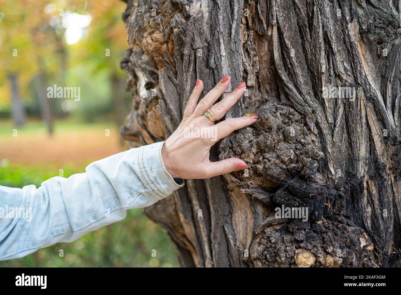 Womans trunk hi-res stock photography and images - Alamy