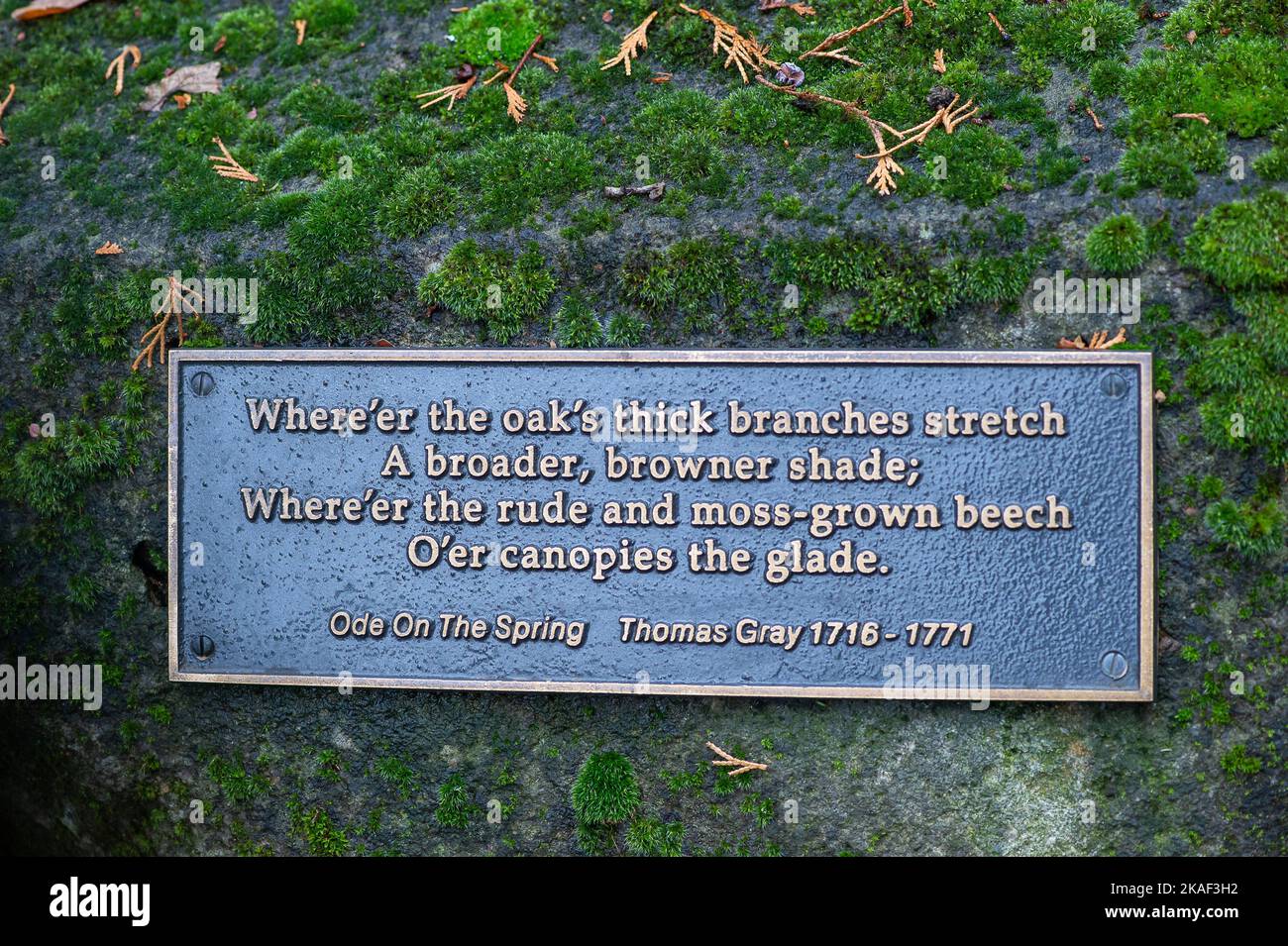 Ode on the spring hi-res stock photography and images - Alamy