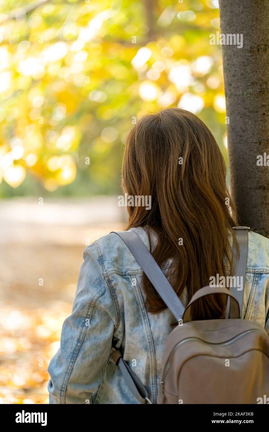 Beautiful woman nature fall hi-res stock photography and images - Alamy