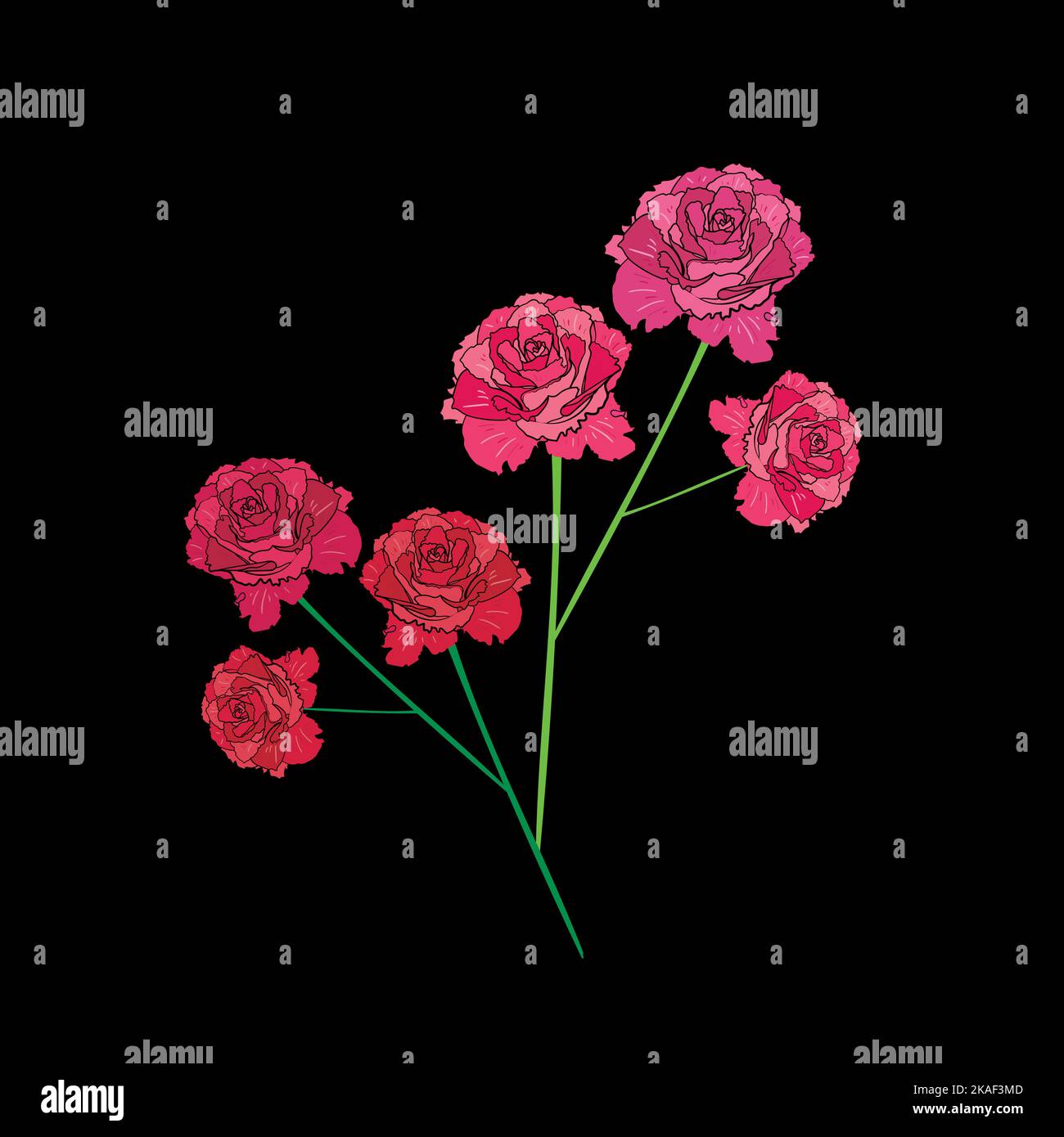 Pink flowers. Vector illustration Stock Vector Image & Art - Alamy