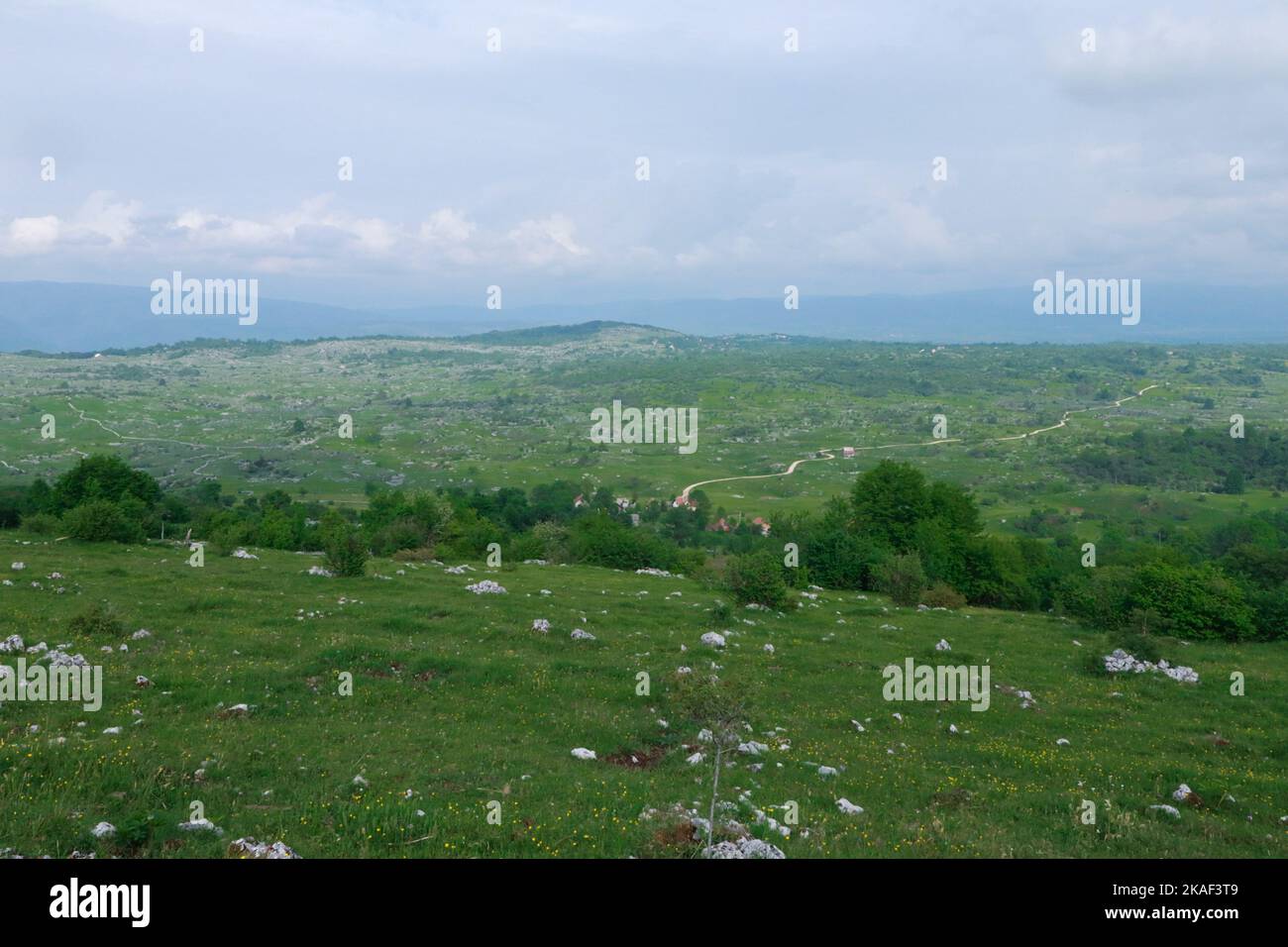 The green field against the background of the cloudy sky. Sipovo ...