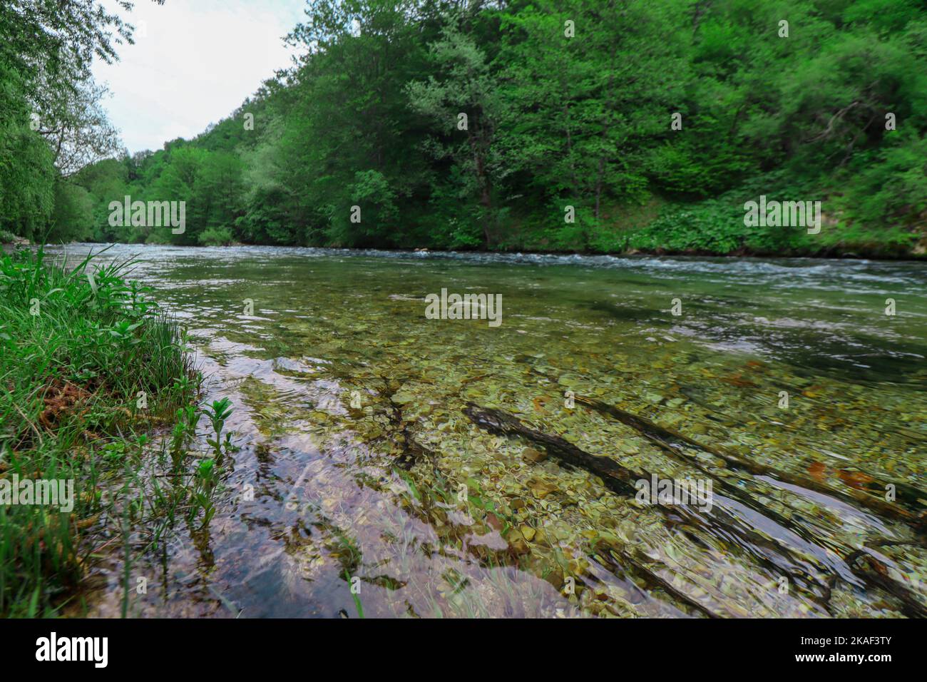 The view of Pliva river surrounded by green vegetation. Sipovo, Bosnia ...