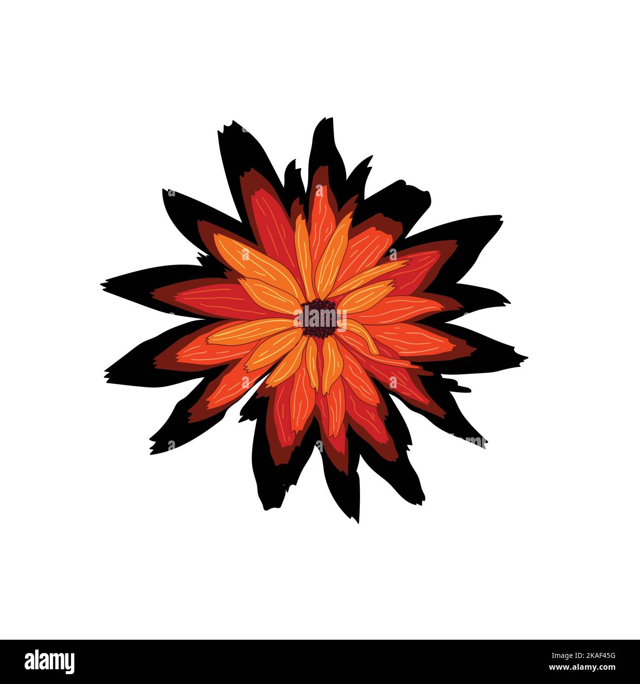 Rudbeckia or black-eyed susan flower. Vector illustration Stock Vector ...