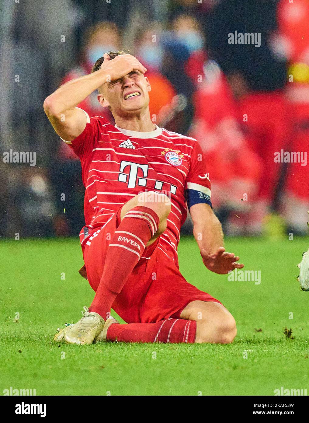 Munich, Germany. 01st Nov, 2022. Joshua KIMMICH, FCB 6 in the match FC ...