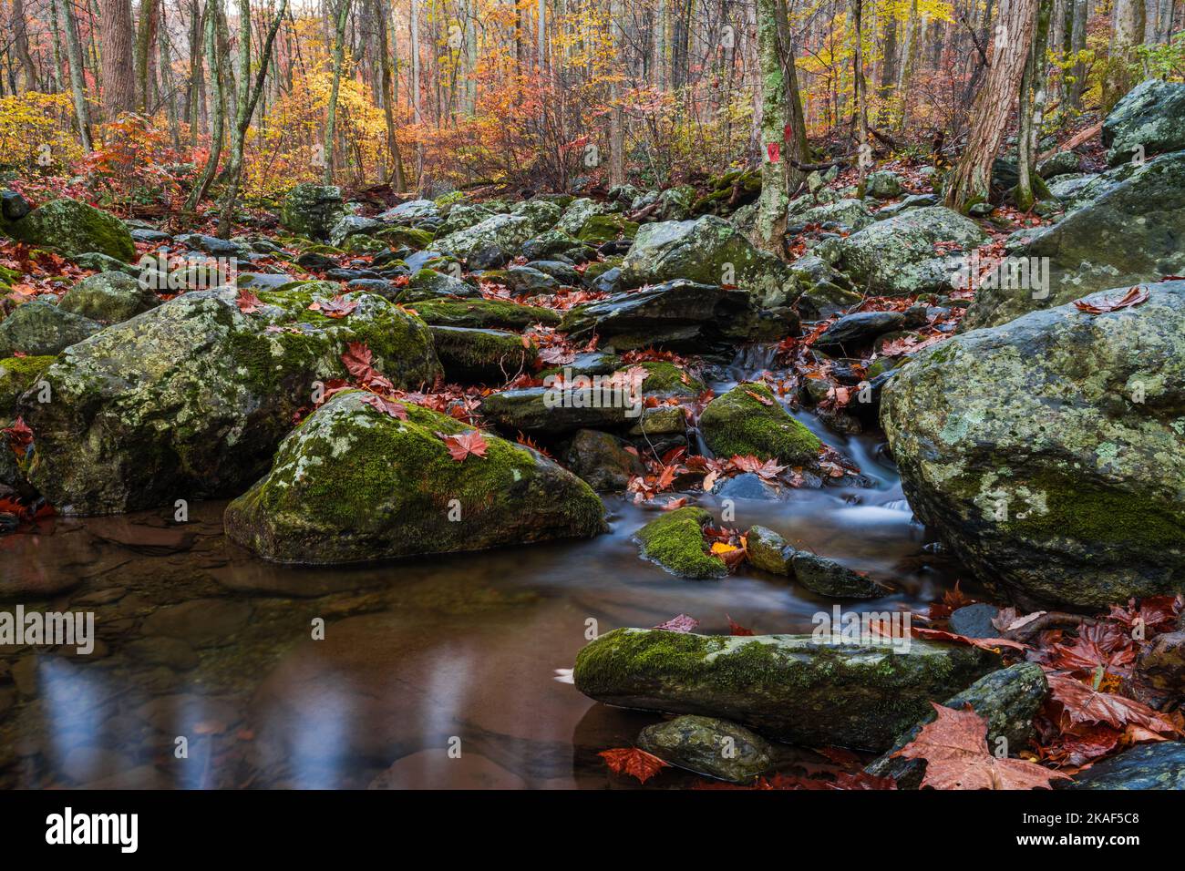 Fall colors and waterfalls in Shenandoah National Park Stock Photo - Alamy