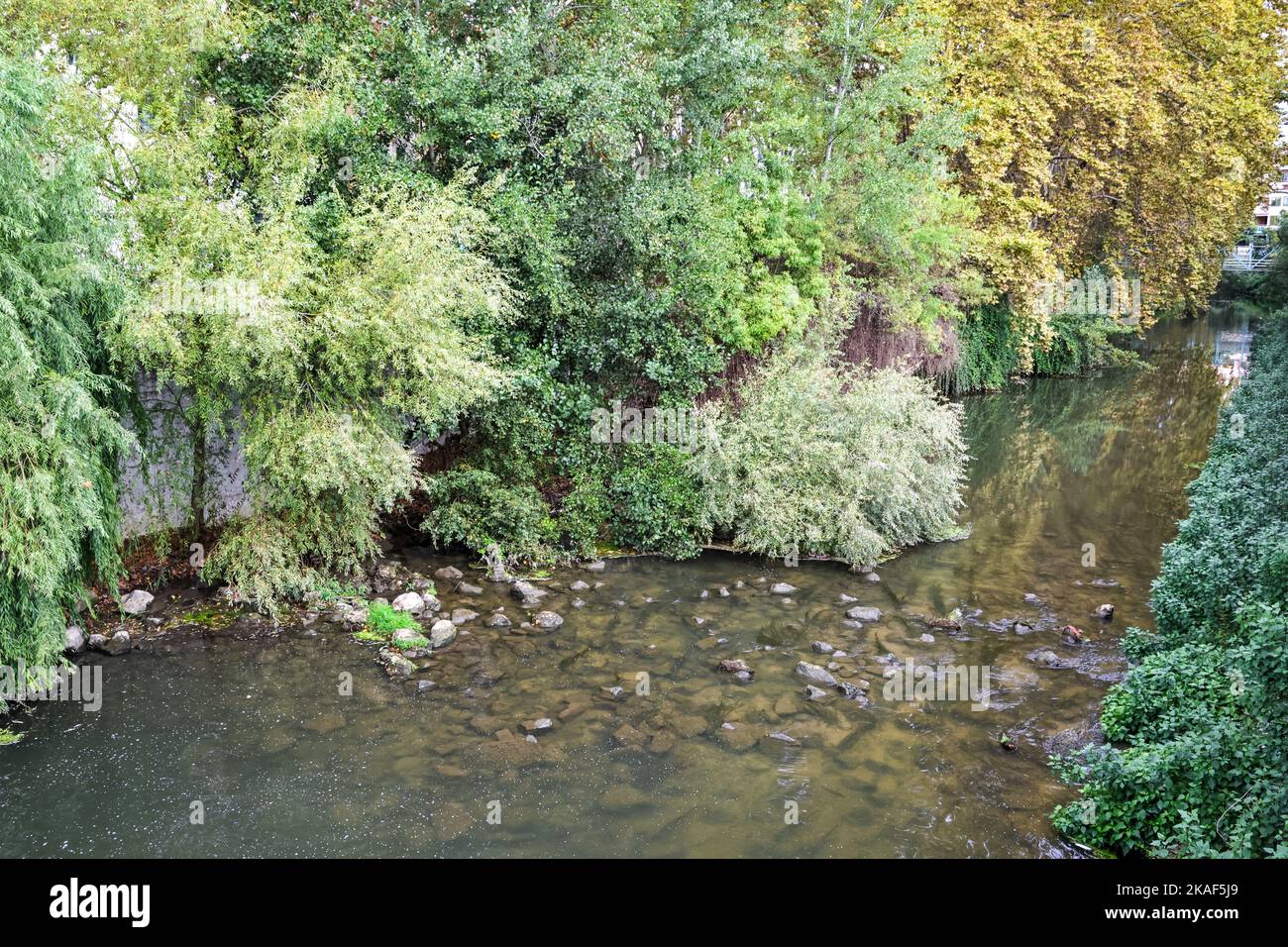 A beautiful shot of green tree branches hanging over the river Lis in ...