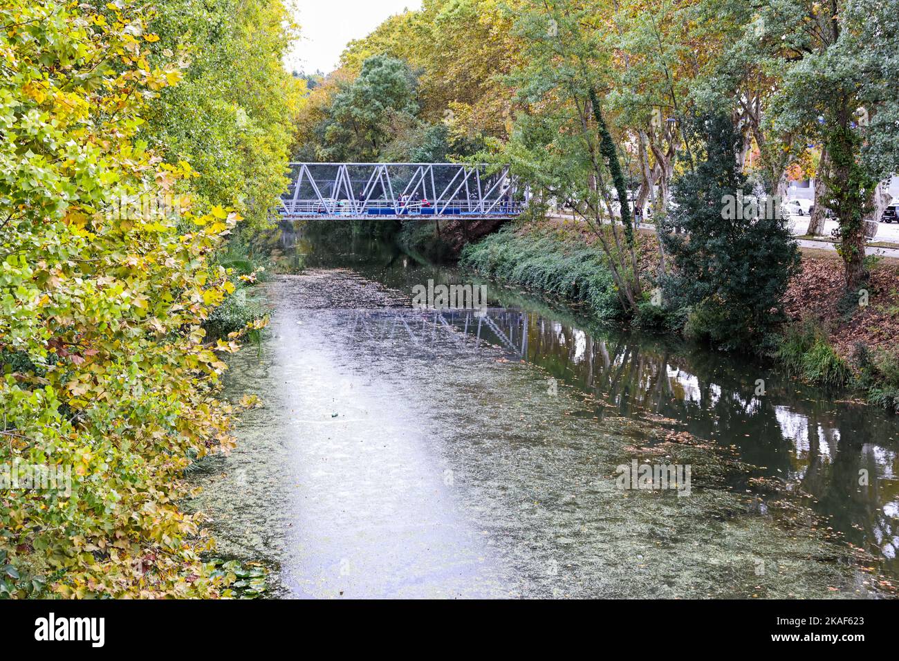 A beautiful shot of green tree branches hanging over the river Lis in ...