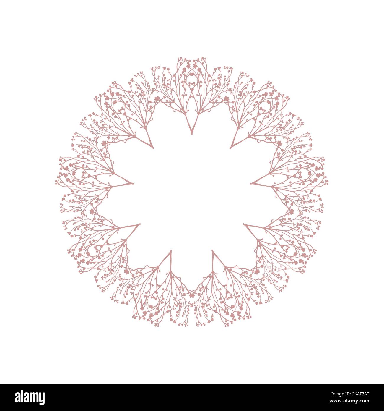 Beautiful branches oak tree Cut Out Stock Images & Pictures - Alamy