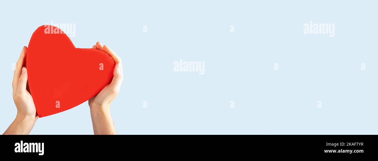 Big red heart organ in hand on blue banner. Donation, charity, support ...