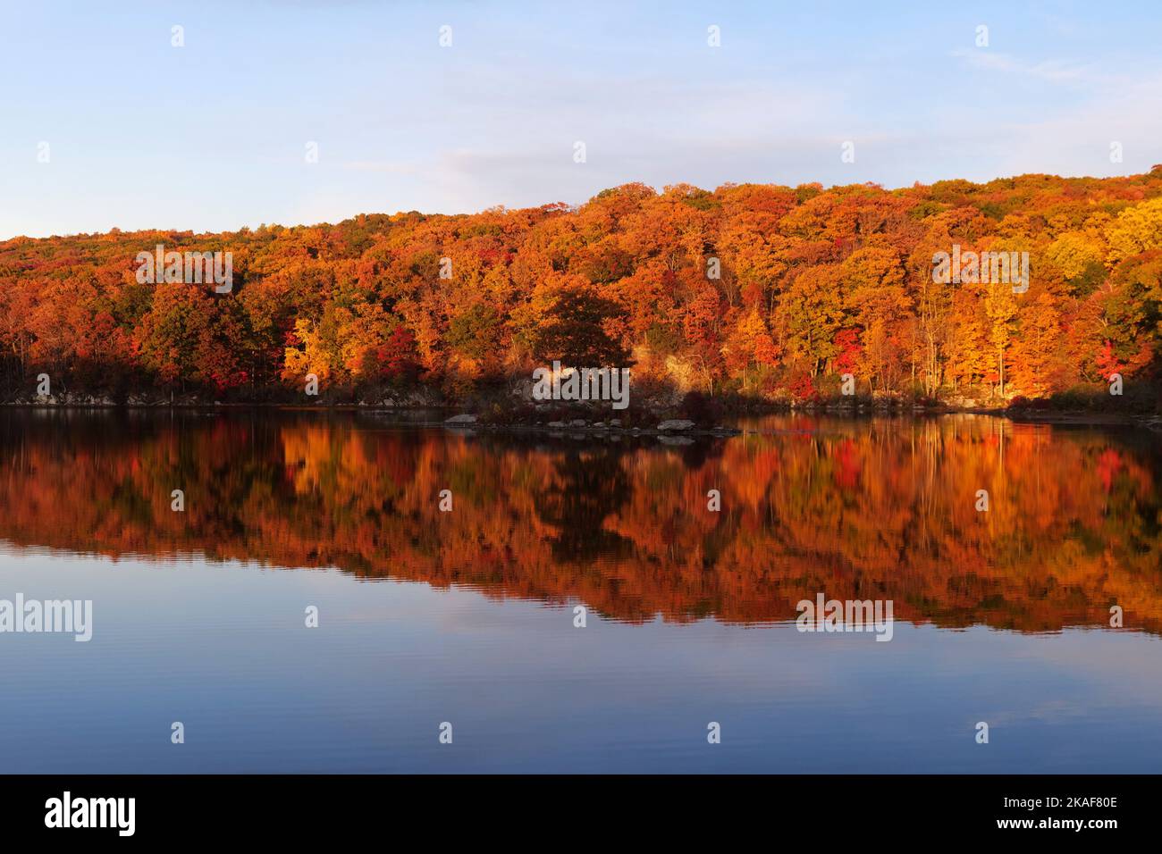An autumn trees line with cloudy sky makes reflection in the lake water ...