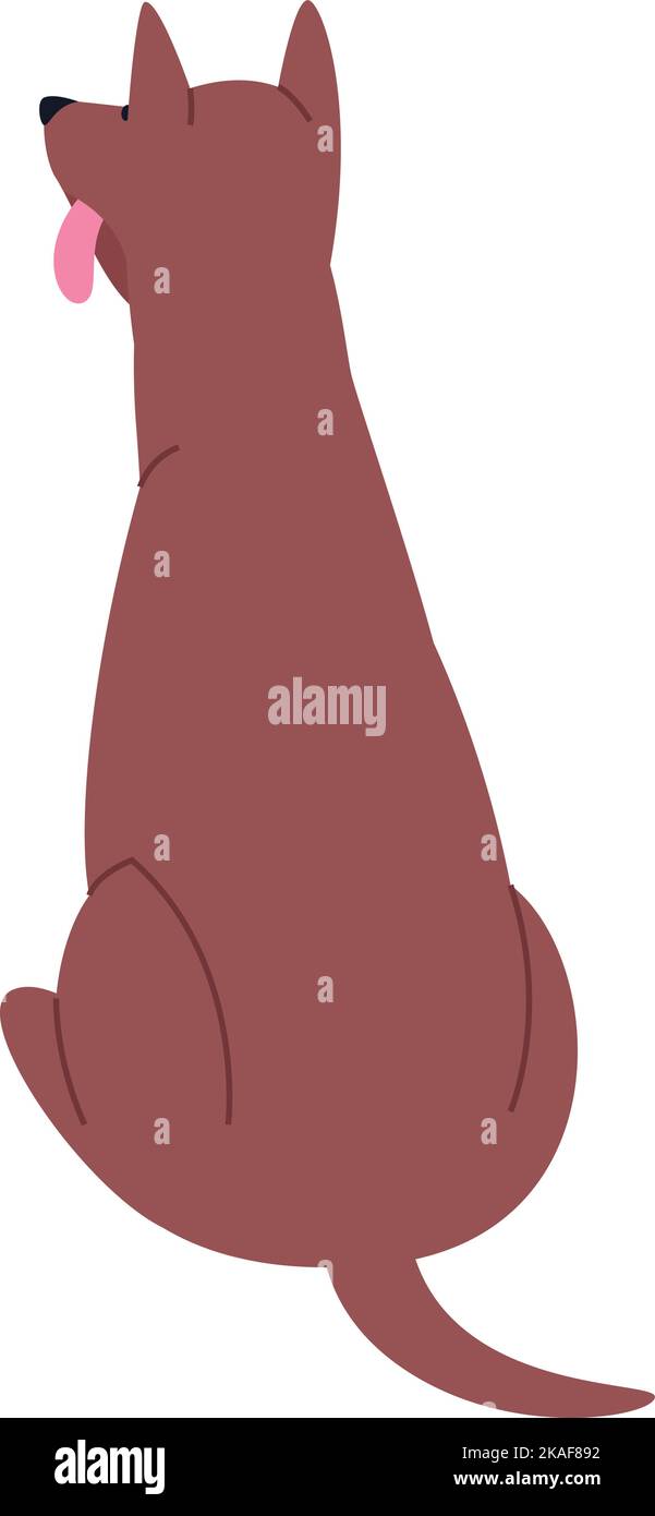 Sitting dog back view. Funny domestic pet isolated on white background ...