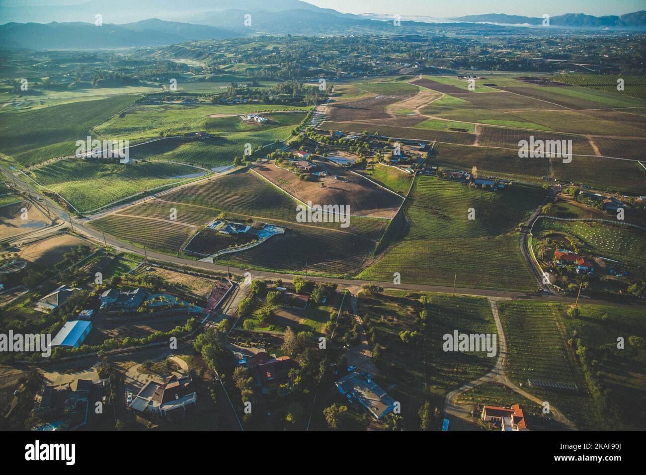 Aerial scenery of the famous vineyards in Temecula, Southern California ...