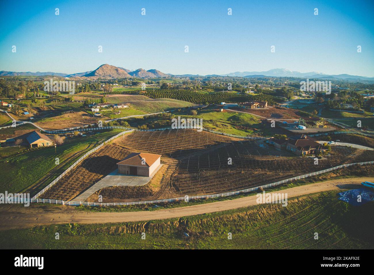 An aerial view of scenic vineyards in Temecula on a sunny day, Southern ...