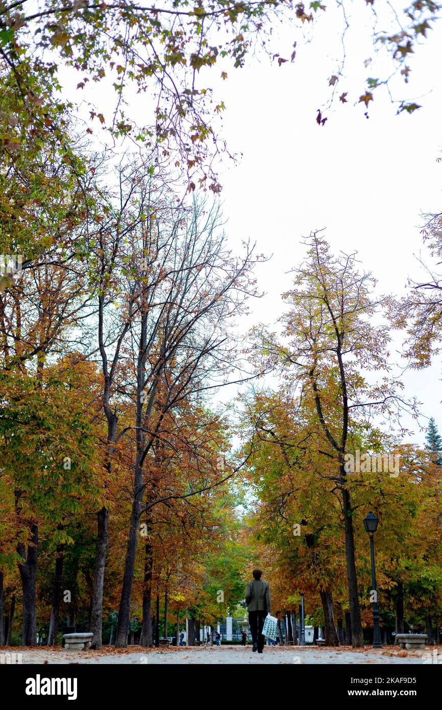 Fall. Autumn path in the Parque del Retiro in the city of Madrid with ...