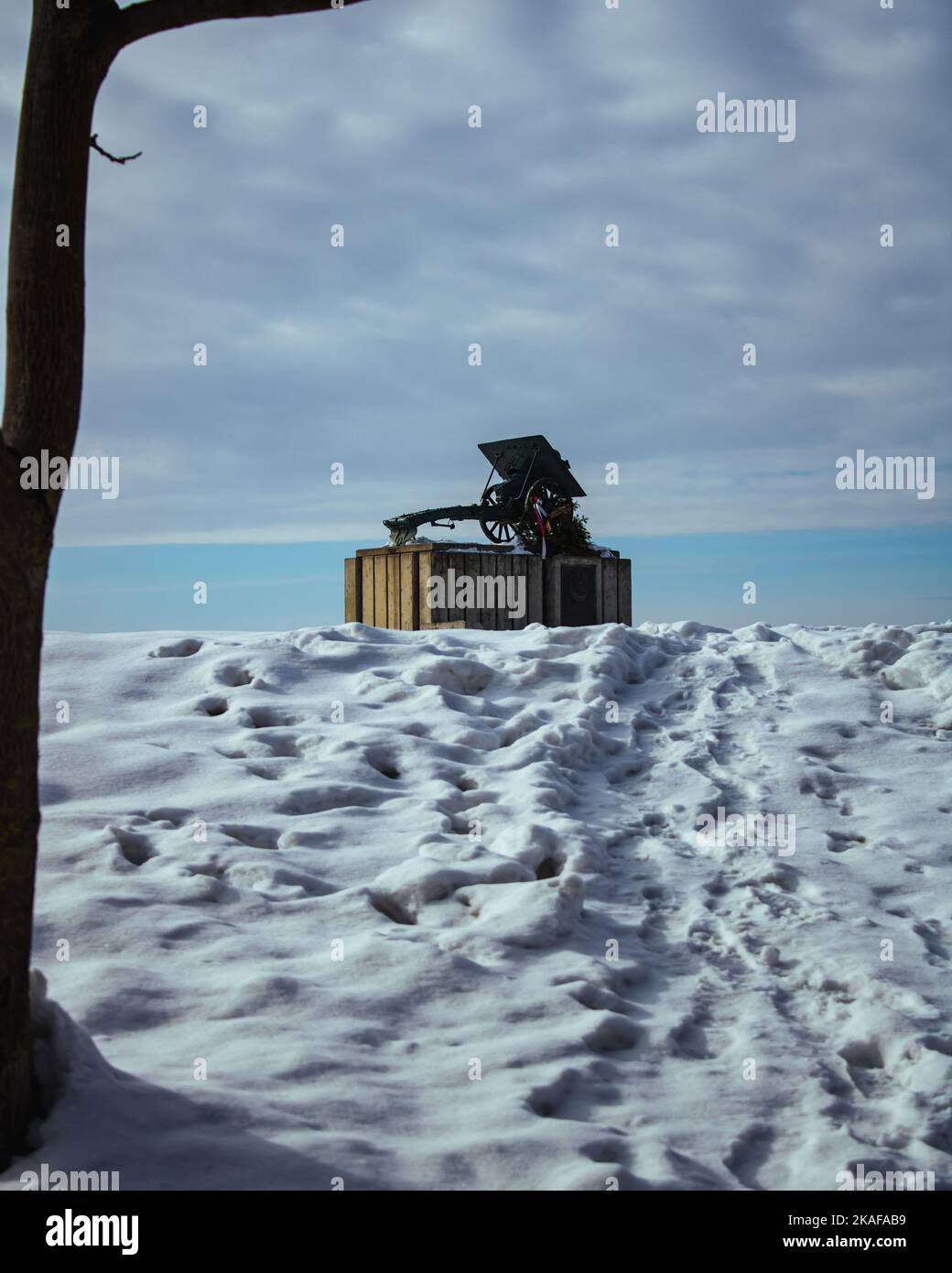 A vertical view of a Serbian memorial canon from WWI during winter ...
