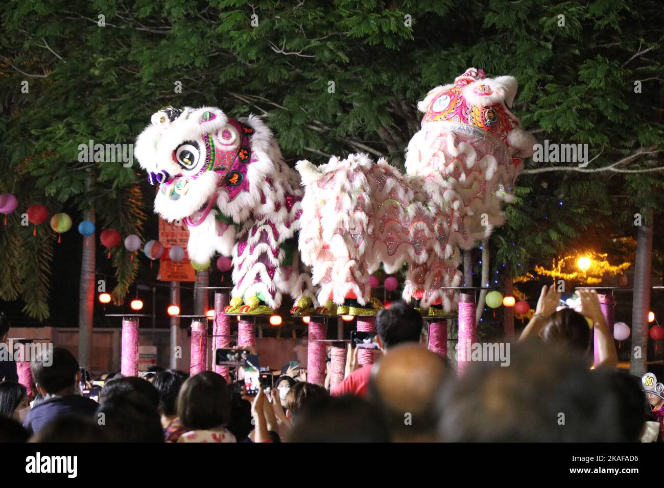 A back view of group of people watching and filming a Chinese lion on ...