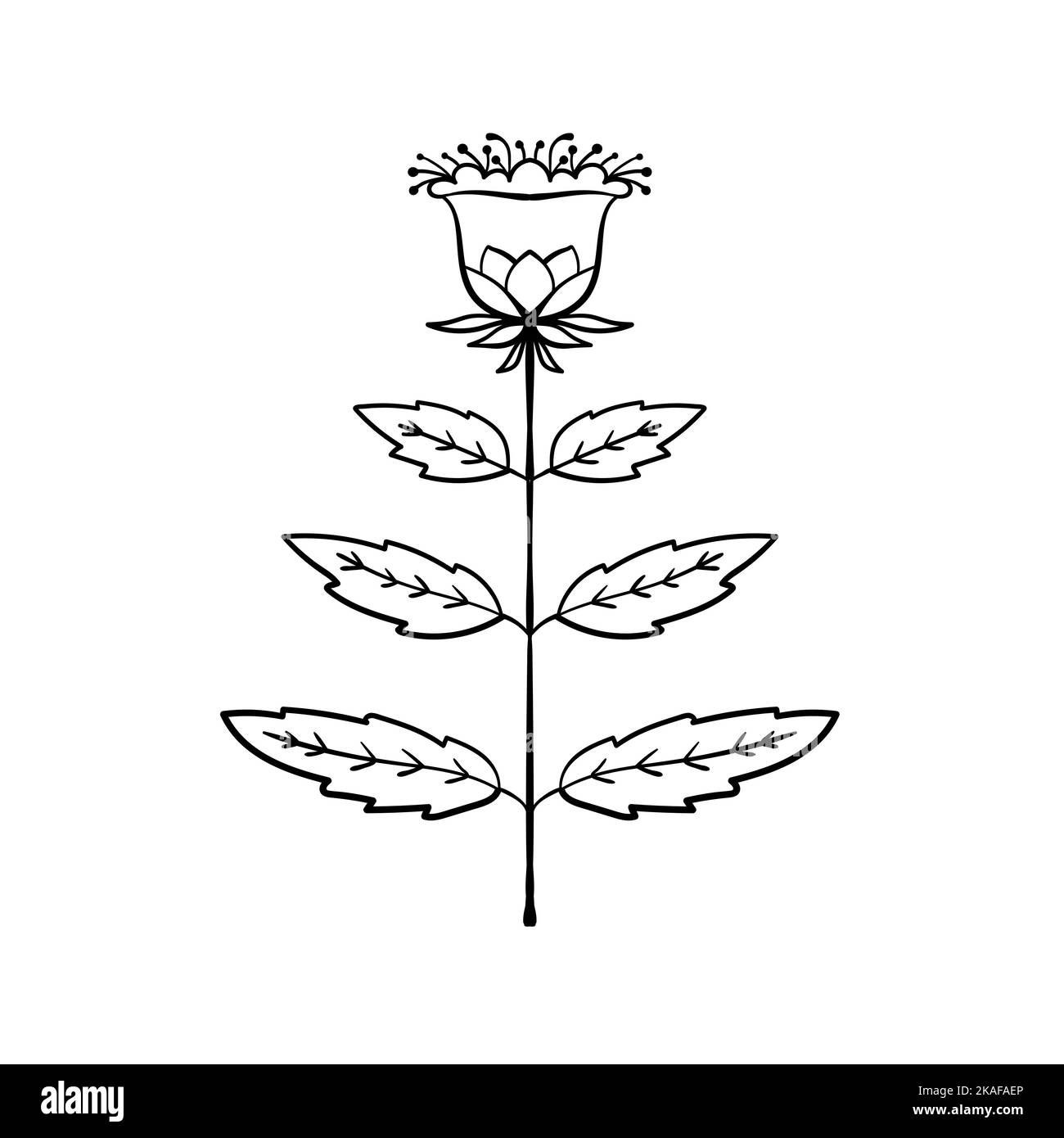 Flower. Vector contour outline illustration. Design element for cards ...