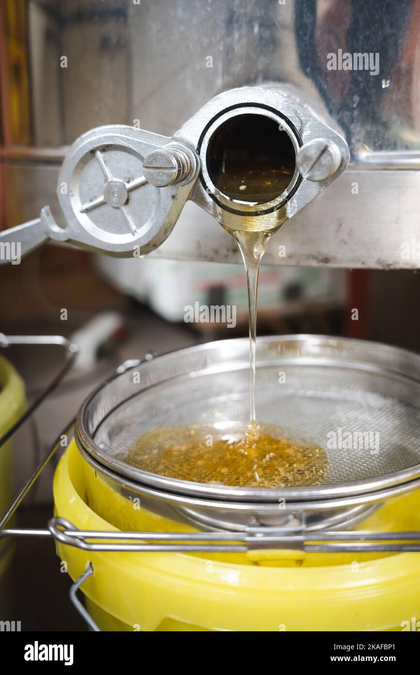 A vertical shot of honey pouring out of a metal barrel Stock Photo - Alamy