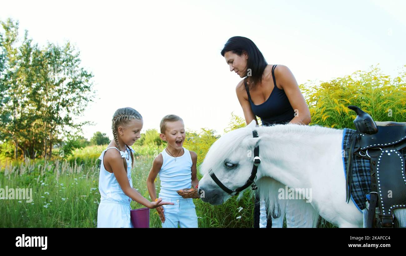 Family ranch old photo hi-res stock photography and images - Alamy