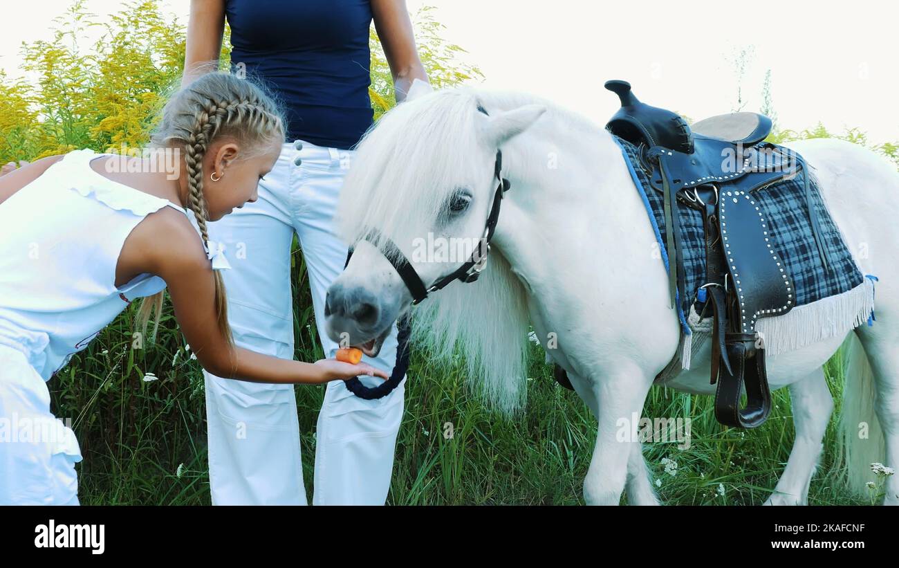 Family ranch old photo hi-res stock photography and images - Alamy