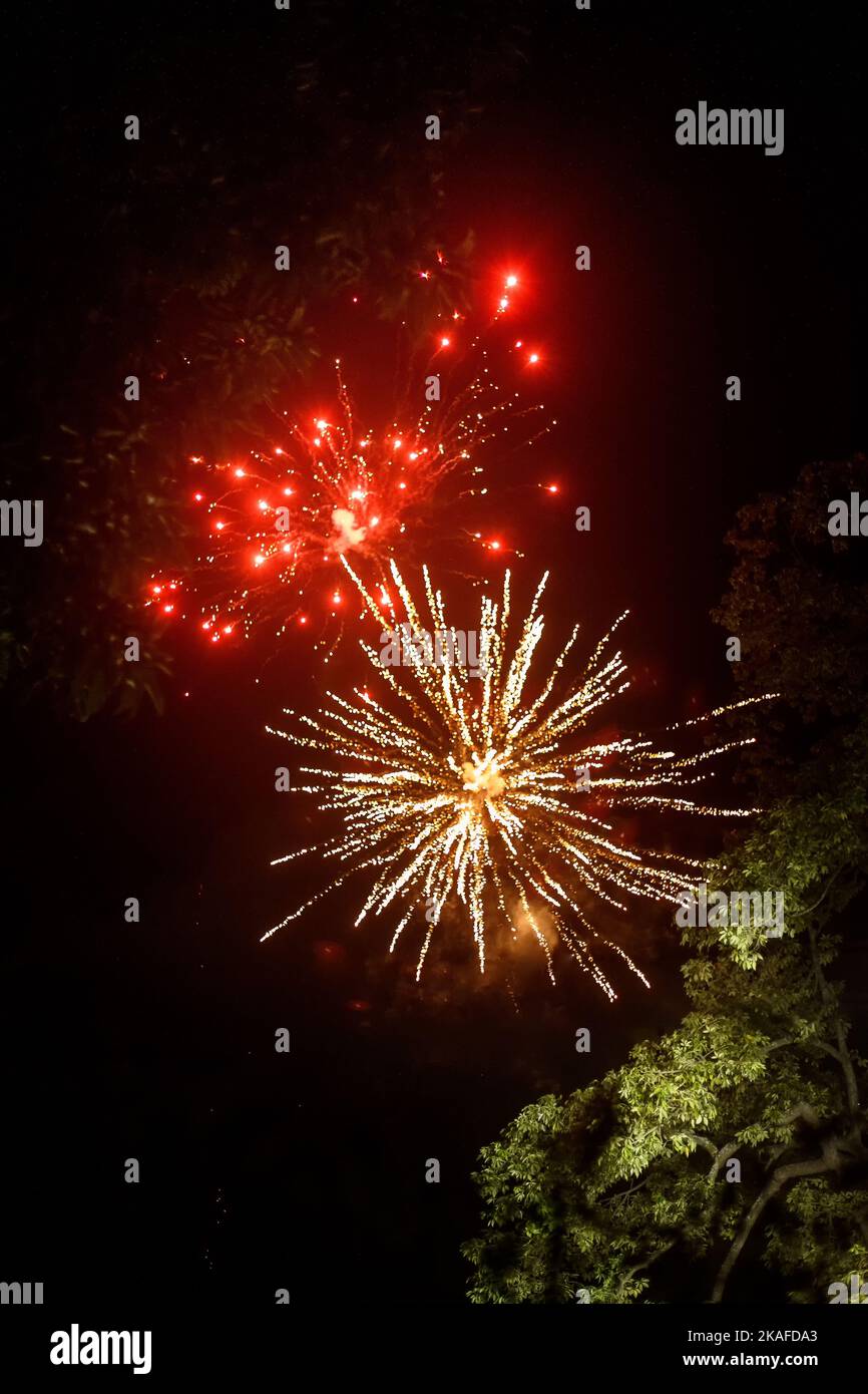 A vertical shot of red and yellow fireworks in the dark sky during the ...