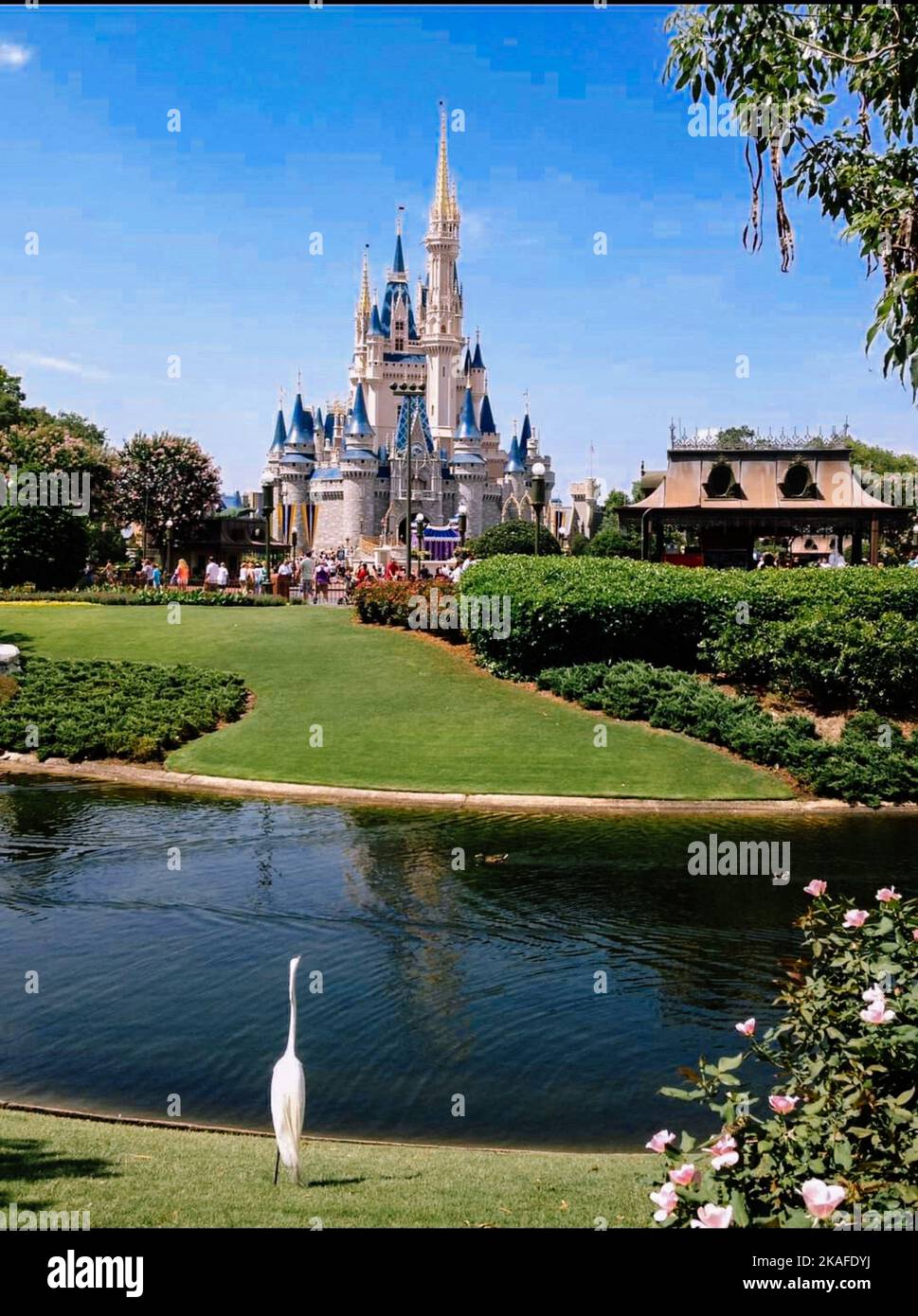 The Cinderella's Castle Magic Kingdom at the Universal Studios in ...
