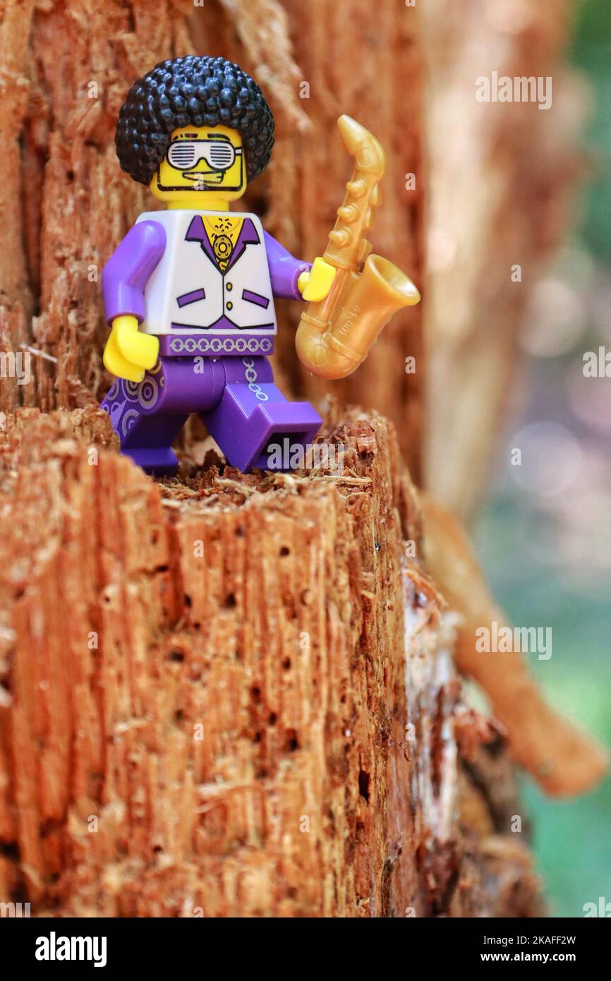 A Lego Toy male figure smiling character with an afro, goatee, Wearing ...