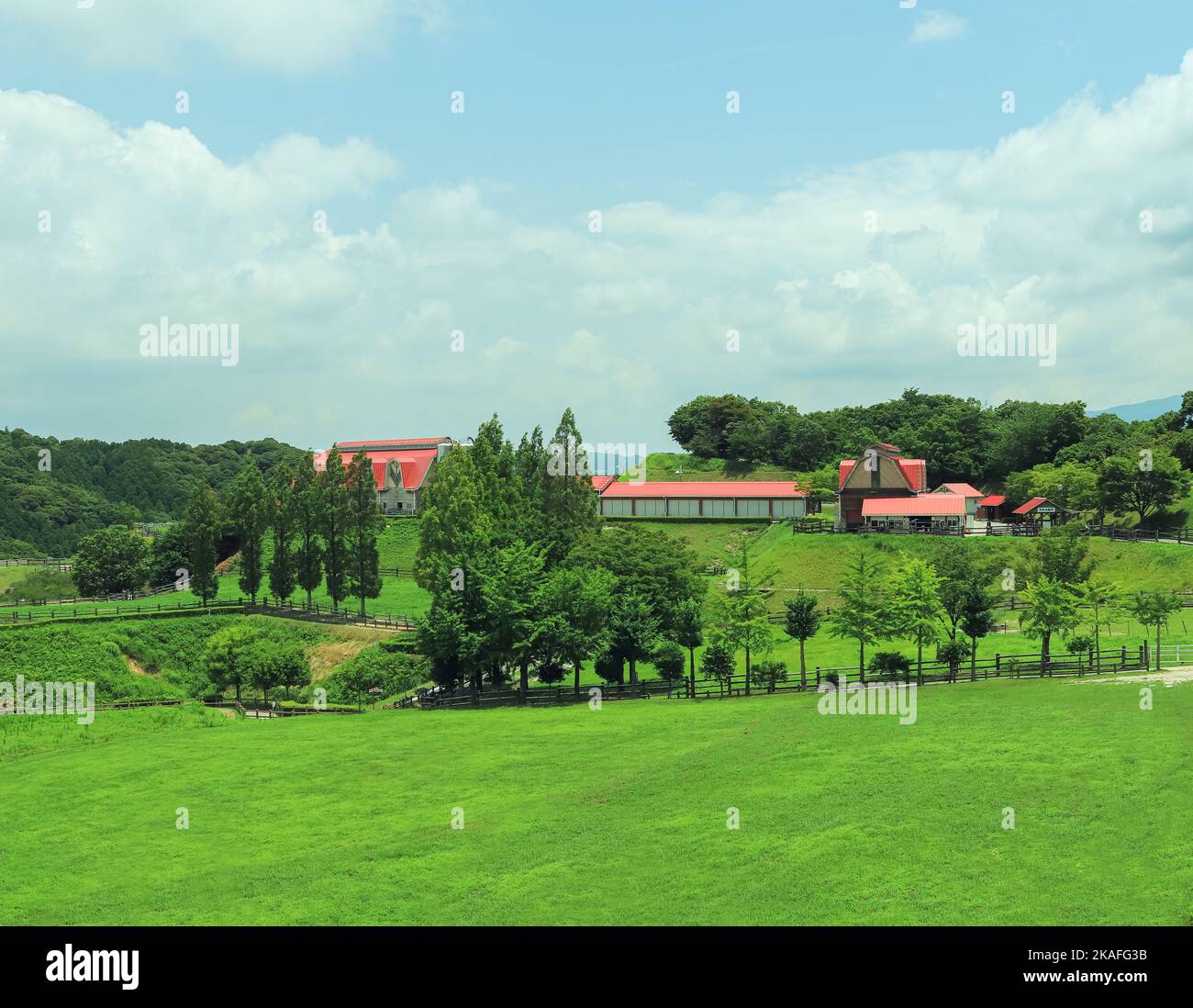 An aerial view of greenery field surrounded by dense trees and ...
