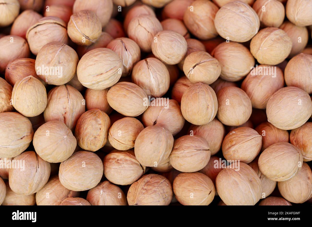 Ripe walnuts in the shell close-up. background image Stock Photo - Alamy