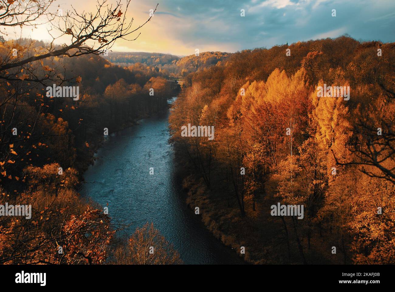 An aerial view of River Mulde flowing through golden autumn forests in ...