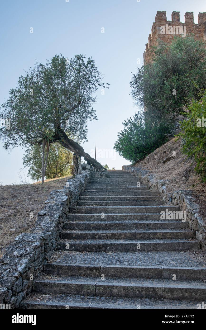 The stone stairs lead up to the Castle of Belver in Portugal Stock ...