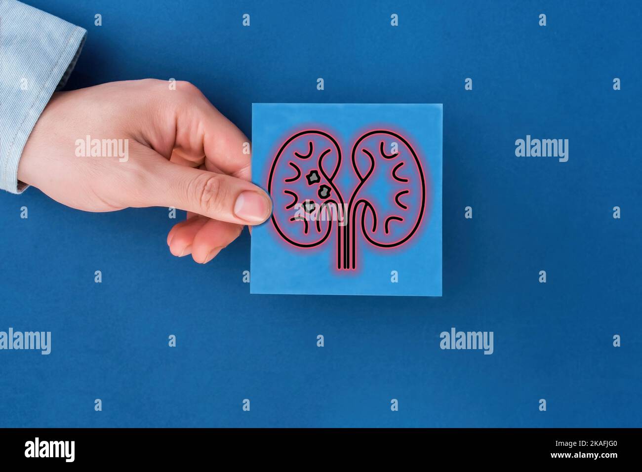 Adult hand holding kidney shaped paper on textured blue background ...