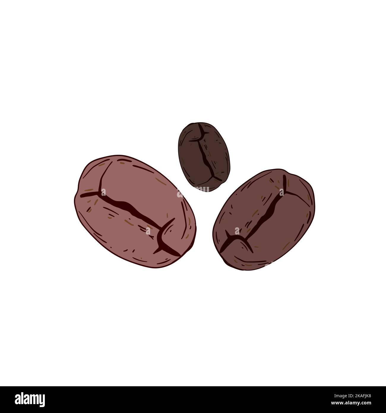 Coffee beans. Vector illustartion Stock Vector Image & Art - Alamy