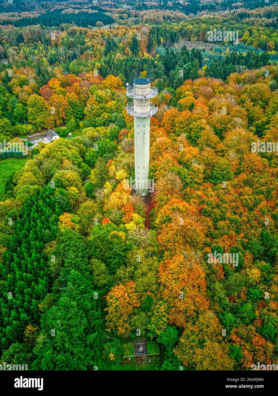 A bird's eye view of an observation tower surrounded by autumn trees ...