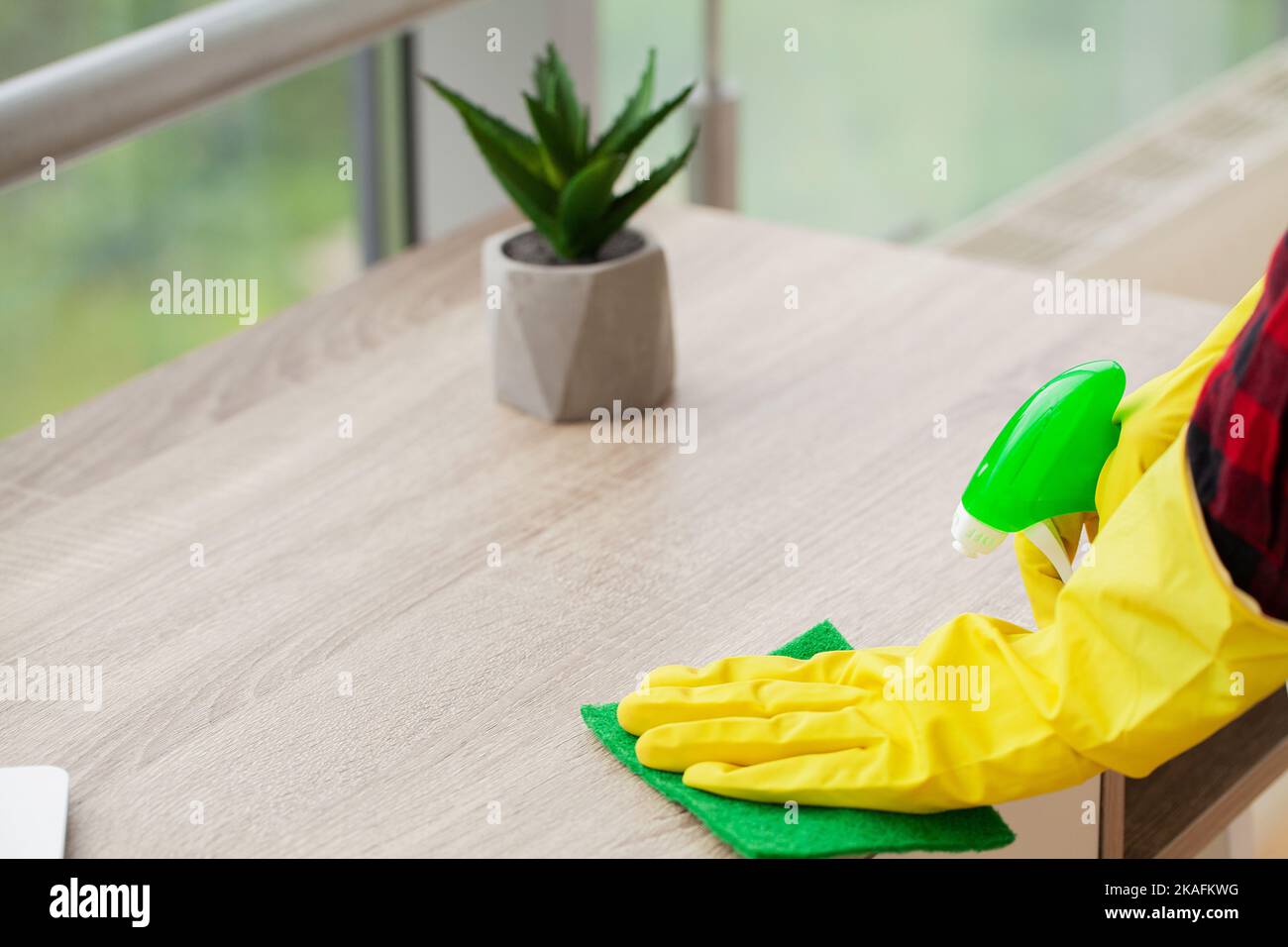 Beautiful young woman wearing protective gloves cleaning the desk in ...