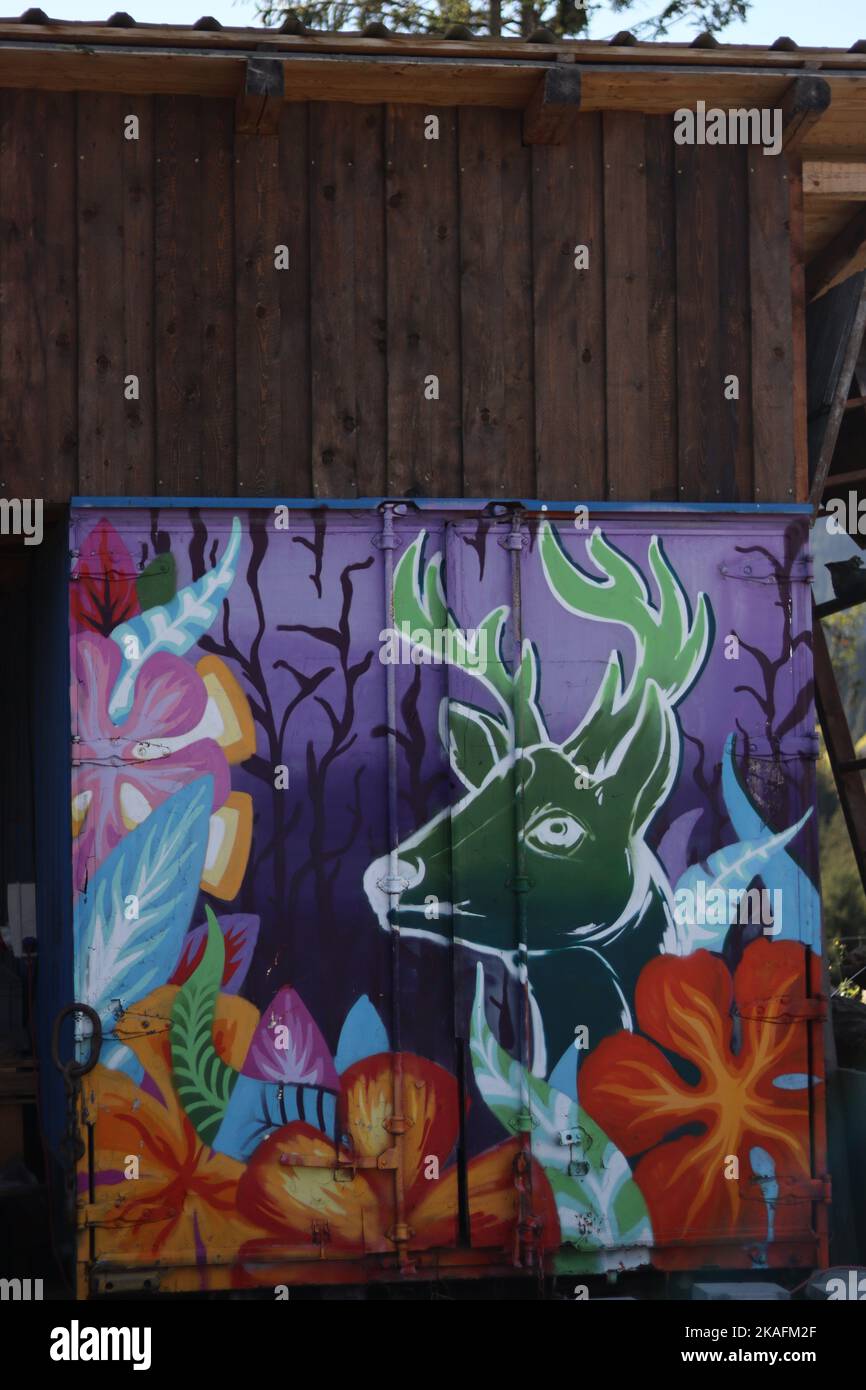 The colorful graffiti street art on the gate, Piatra Fantanele, Romania ...