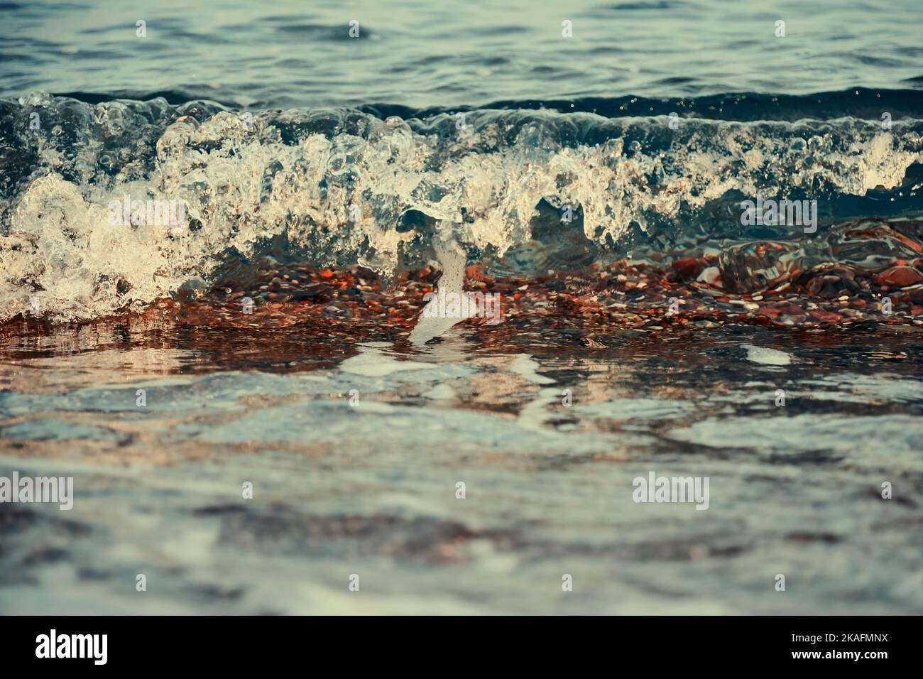 Transparent sea wave over the ground, sand and pebbles. Wild nature ...