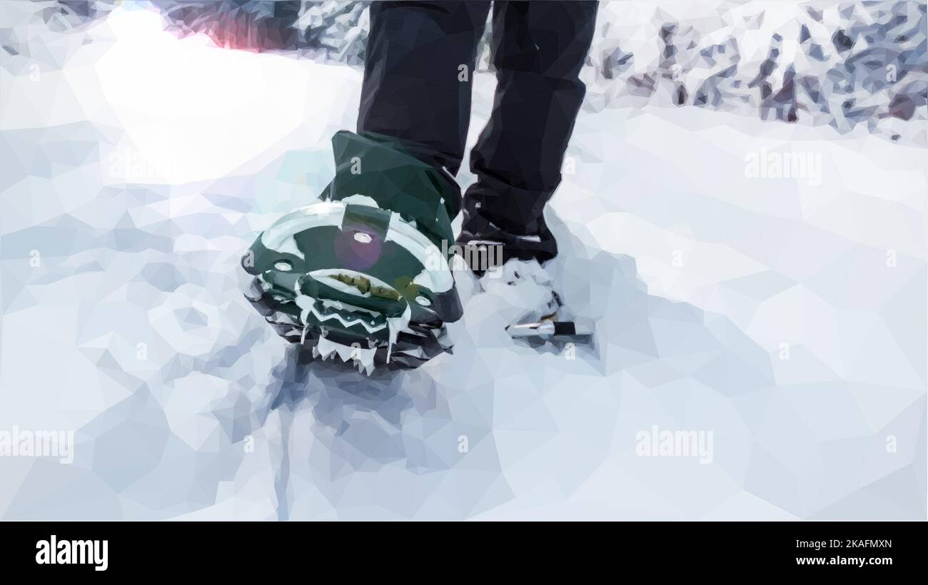 Woman wears snowshoes. In the winter forest is deep snow. Close-up of ...