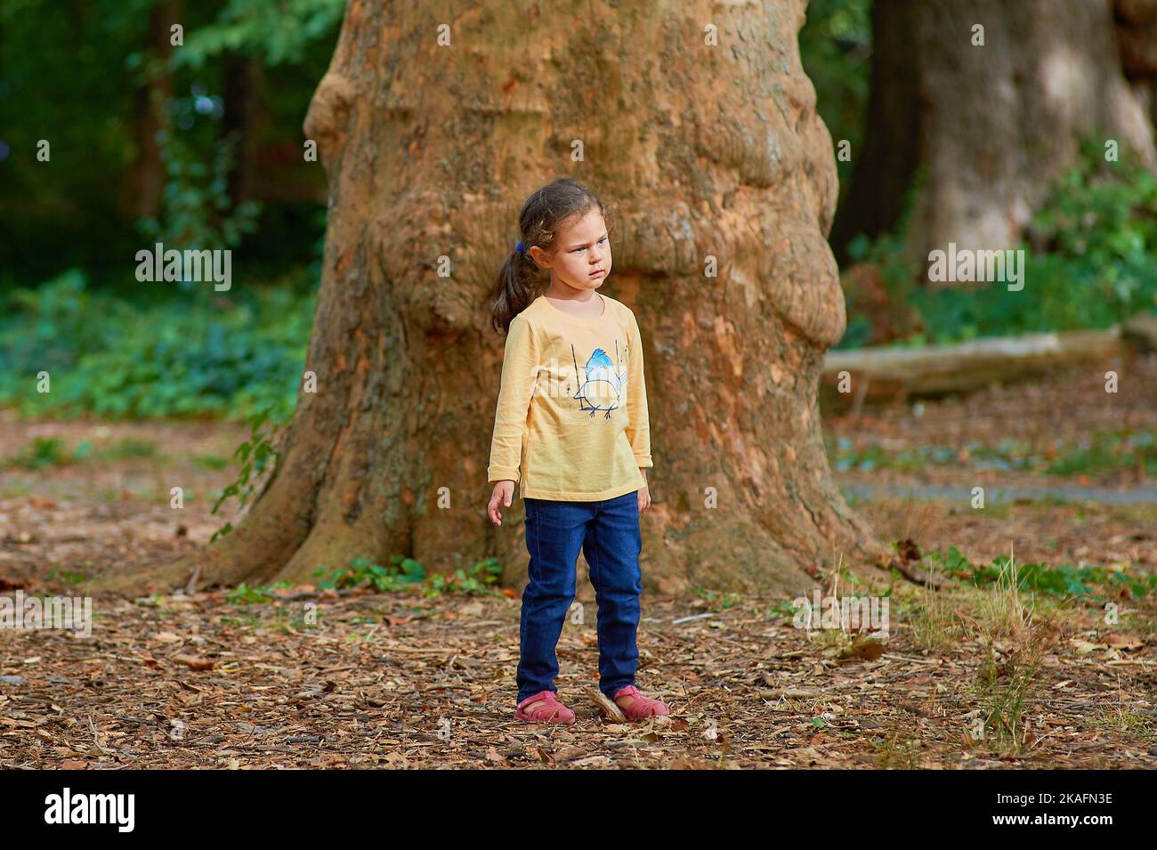 cute young girl in front of a huge tree trunk at a botanical garden ...