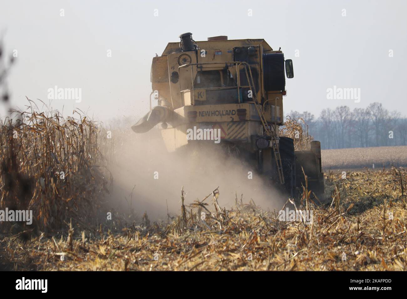 Cherkasy, Ukraine: Harvesting corn with a combine "New Holland Stock ...