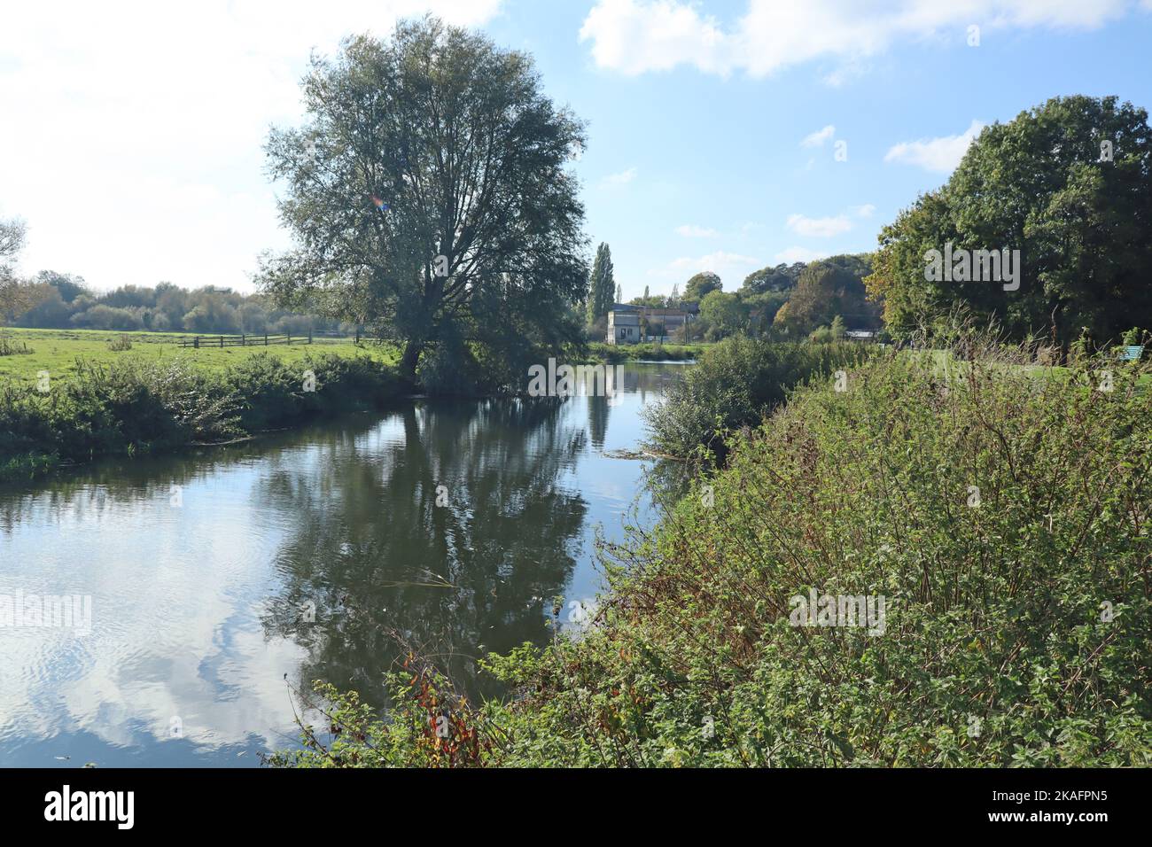 A reflection of a tree in the River Parrett in Langport, Somerset as it ...