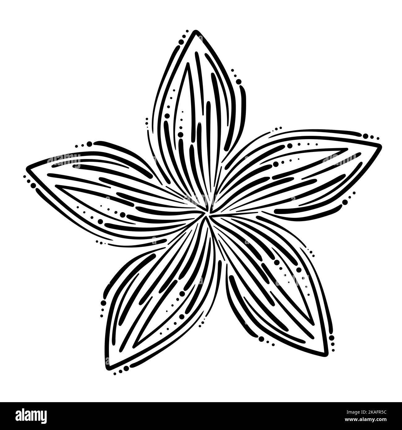 Elegant abstract mandala pattern in circle. Vector illustration Stock ...