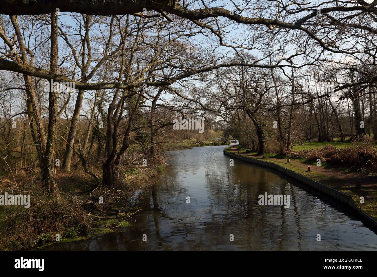 river wey navigation canal and landscape surrey england Stock Photo - Alamy