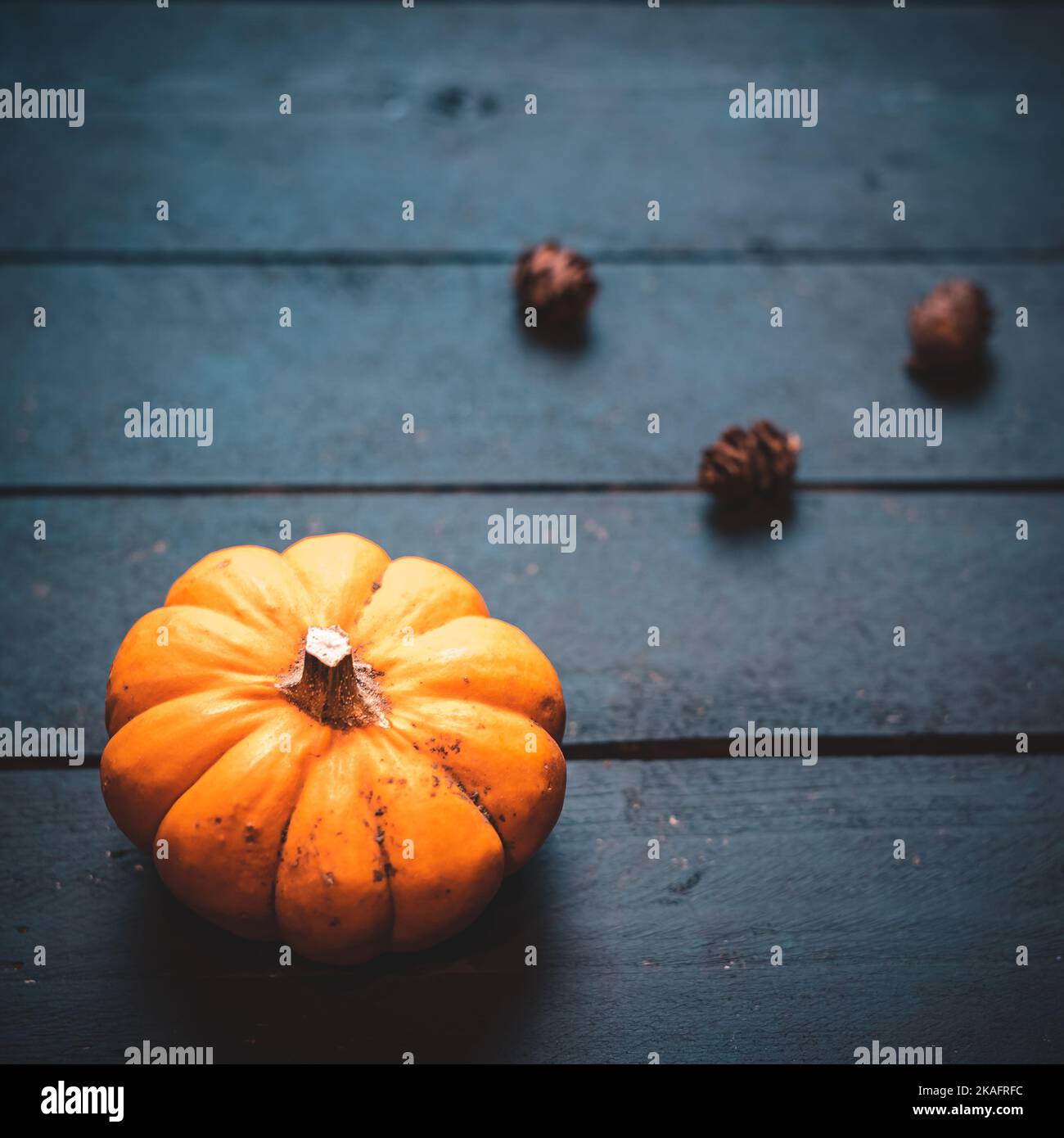Autumn pumpkin and fall decor on a rustic wood background with copy ...