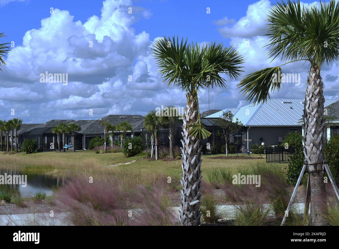 A group of homes is seen at Babcock Ranch, Florida, the first solar ...