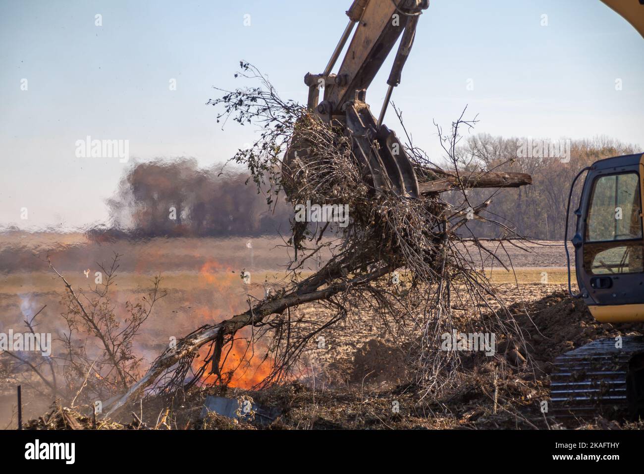 Close up view of a heavy equipment excavator moving trees and wooden ...