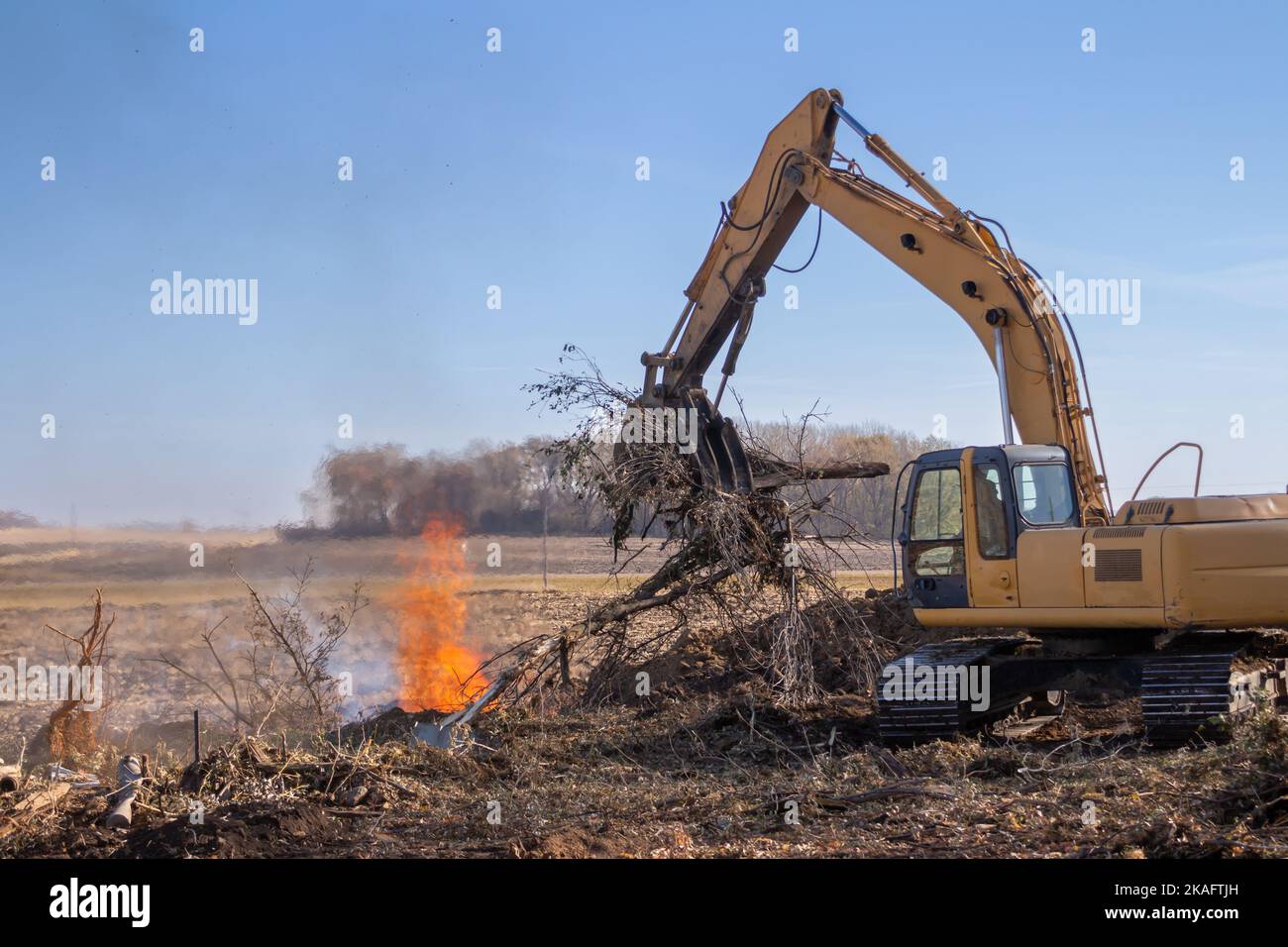 Close up view of a heavy equipment excavator moving trees and wooden ...