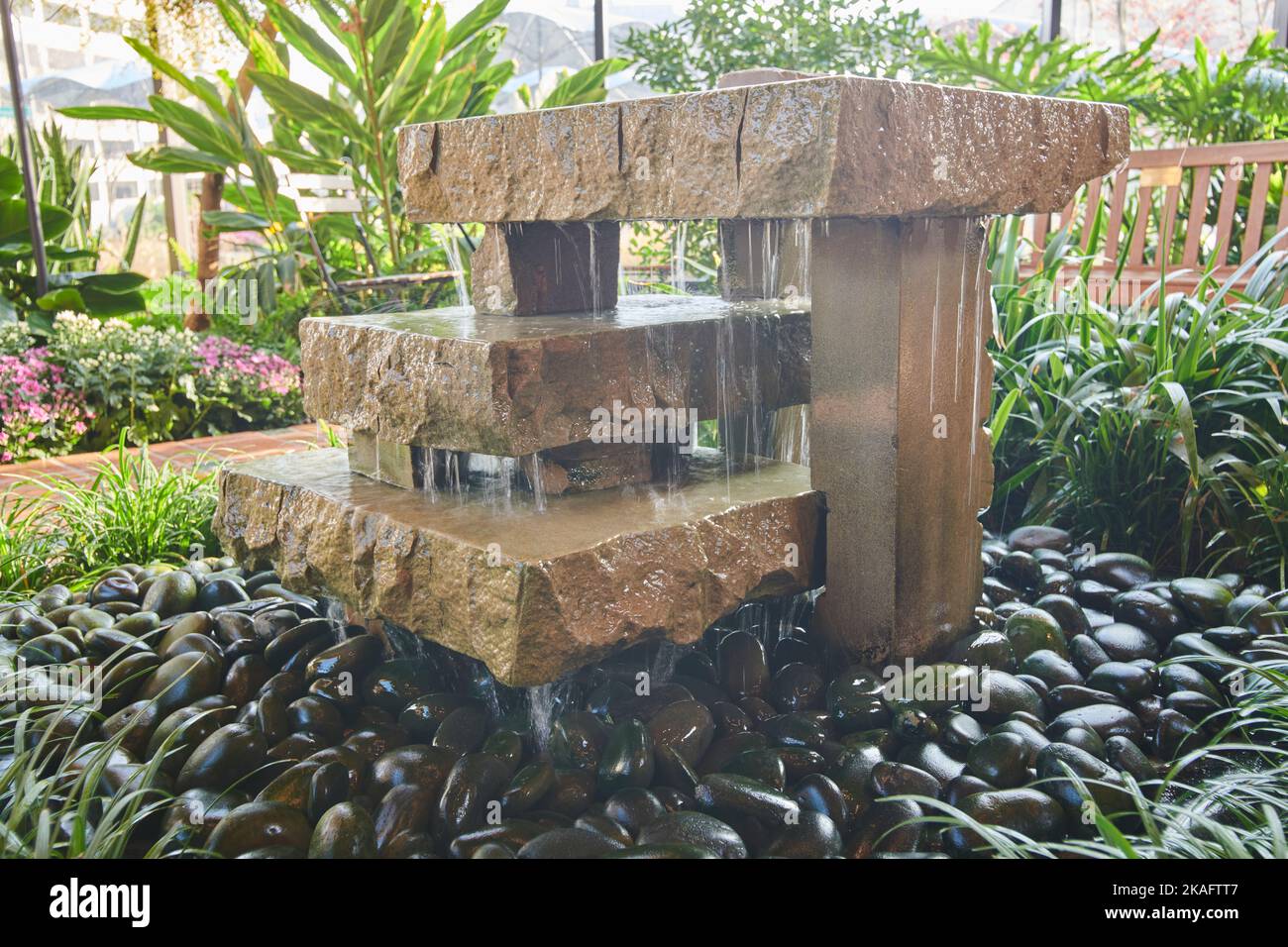 Rare Plants and Fauna Stock Photo - Alamy