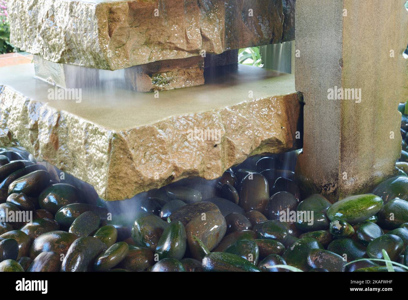 What Rare Flora And Fauna Exist In The Armm at Ronald Roe blog