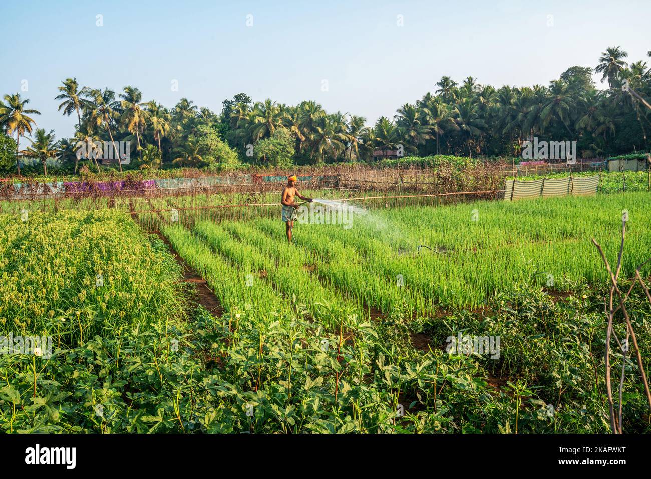 Agrofield hi-res stock photography and images - Alamy